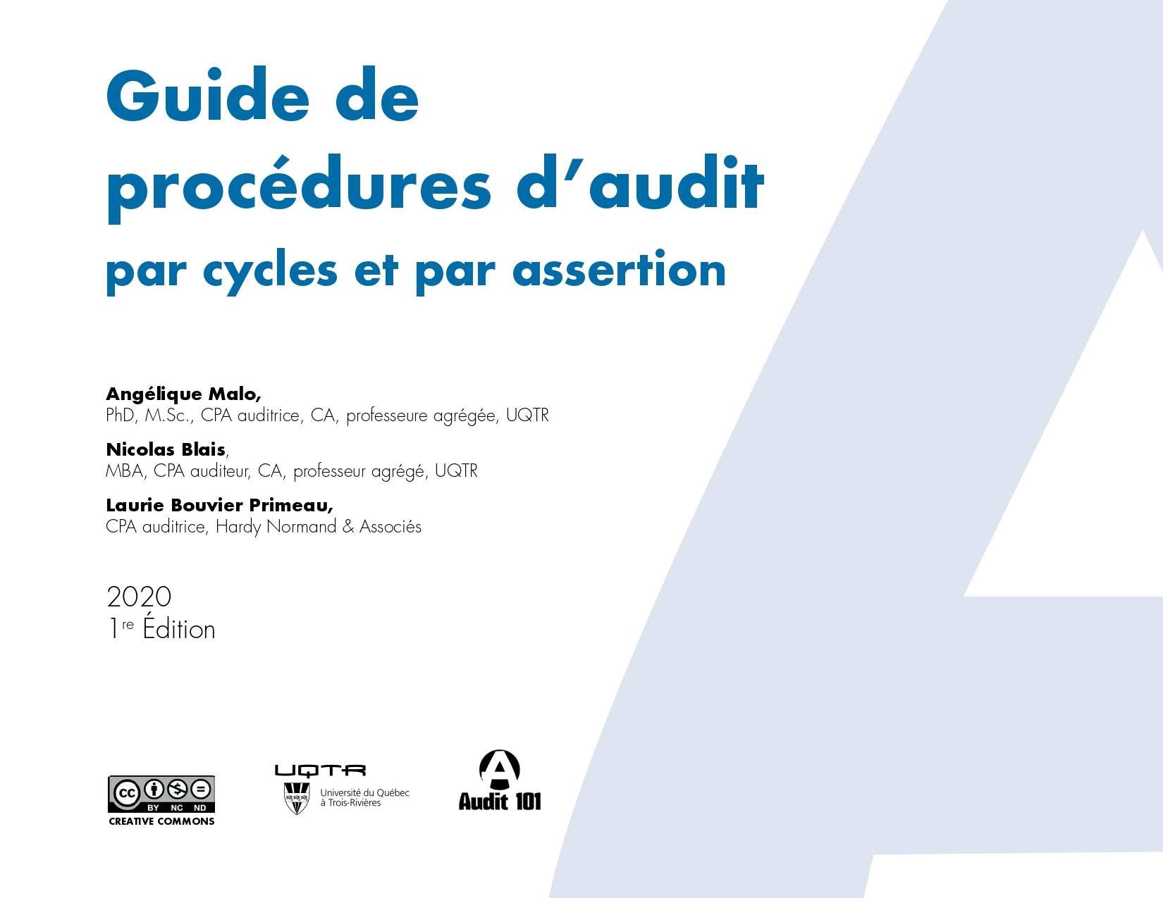 Guide de procédures d’audit par cycles et par assertion PDF ...